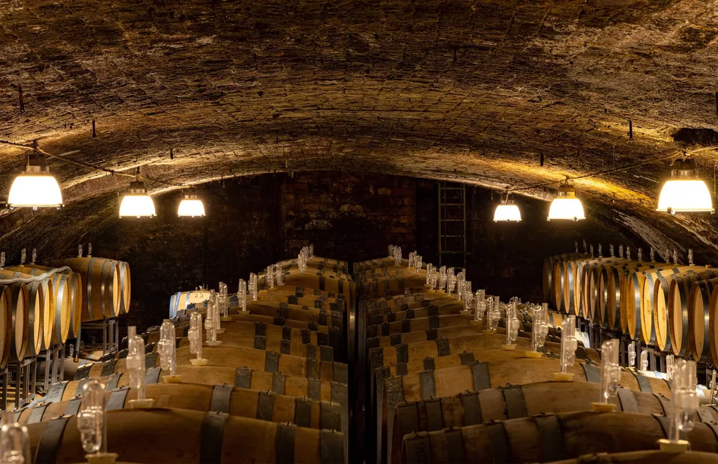 Weingut Von Winning – Tradition, Quality, and Innovation in Winemaking